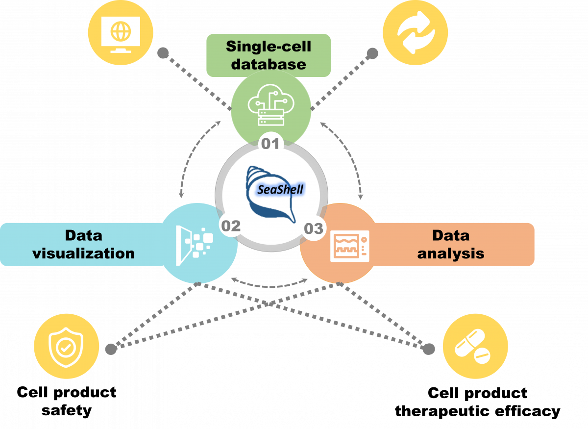 GitHub - lsbnb/seashell: This is the first version of the R/Shiny-based ...