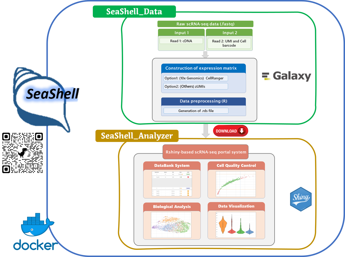 GitHub - lsbnb/seashell: This is the first version of the R/Shiny-based ...
